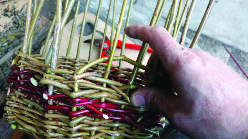 How to Weave a Basket for Beginners – Mother Earth News